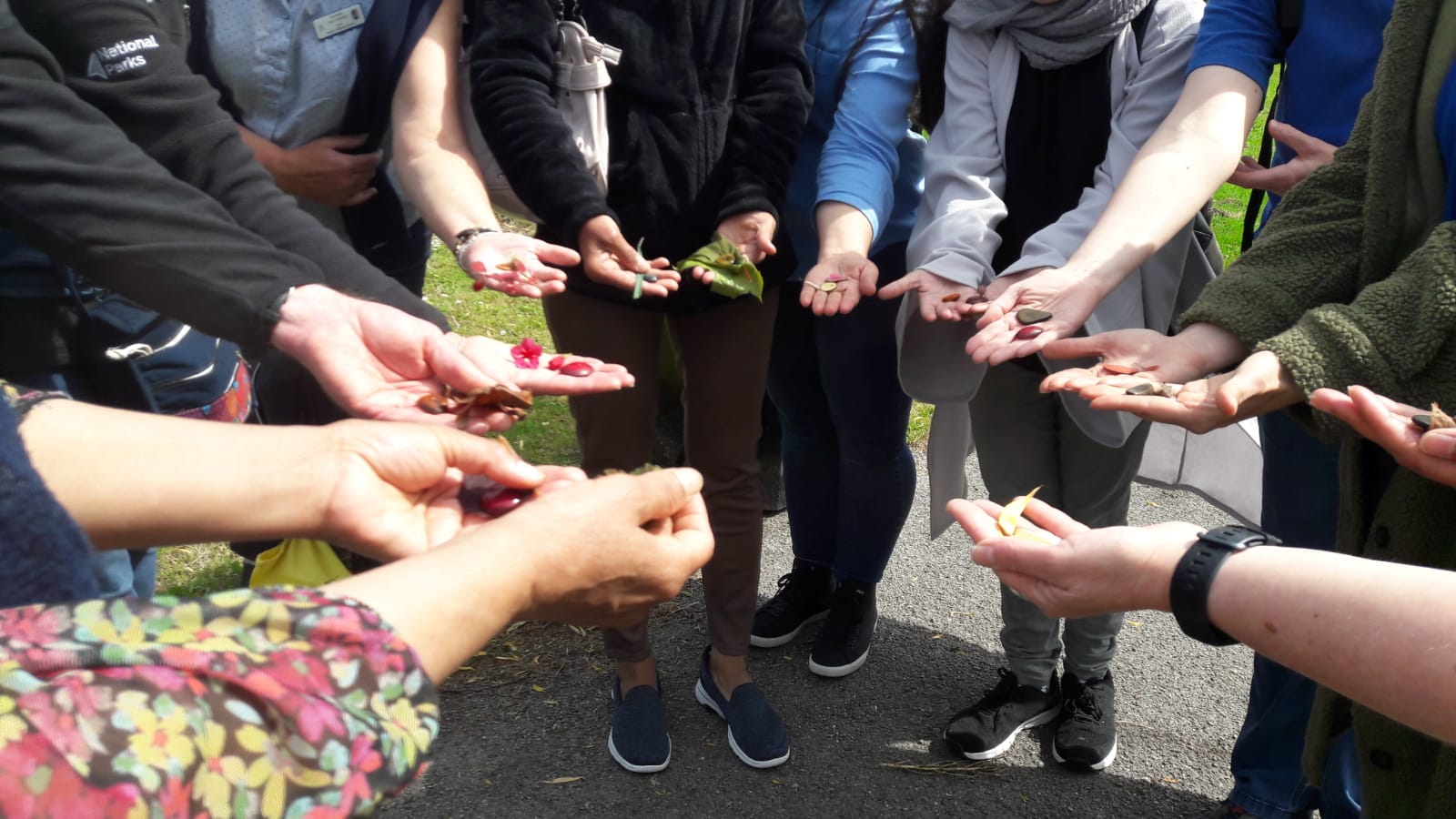 Darnall Health Walks - Darnall Well Being